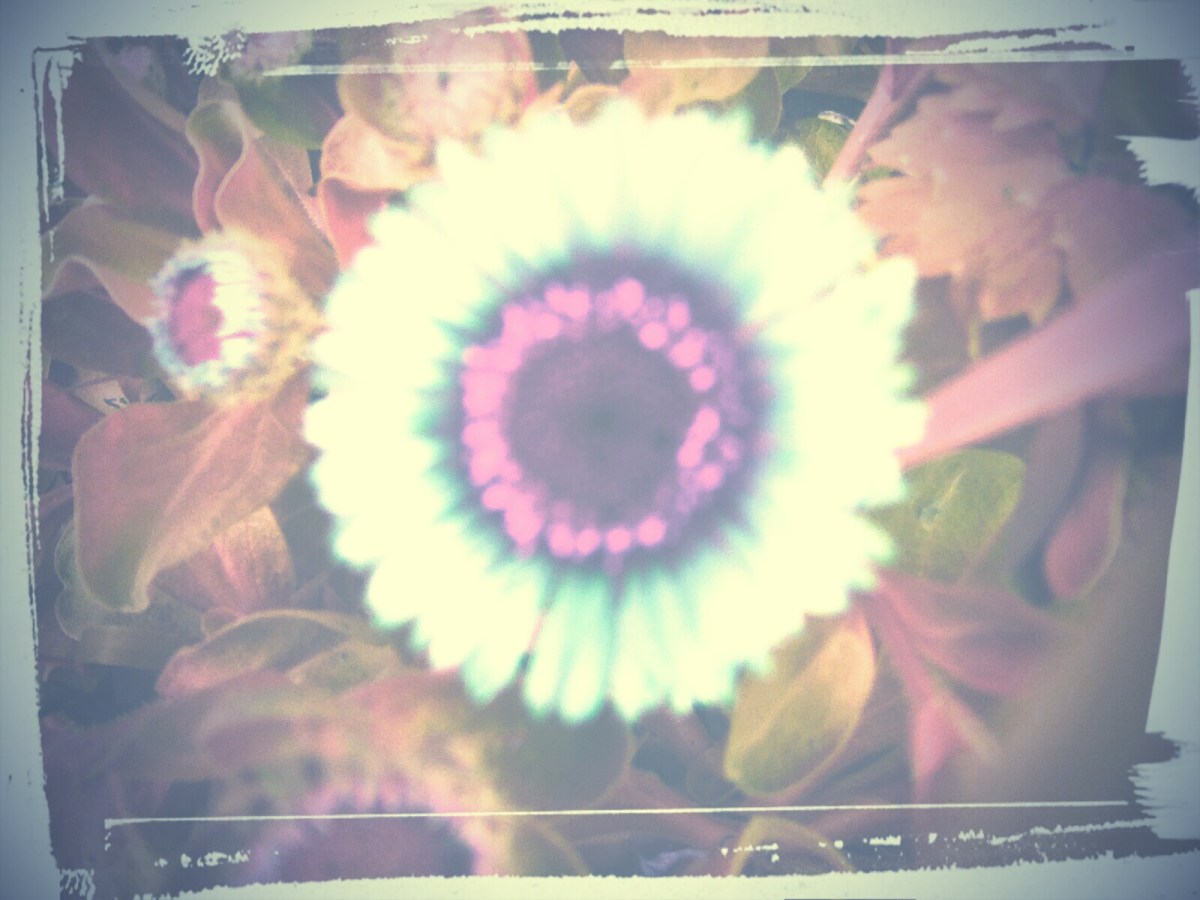 the incredible-flexible poem – resarf poetry