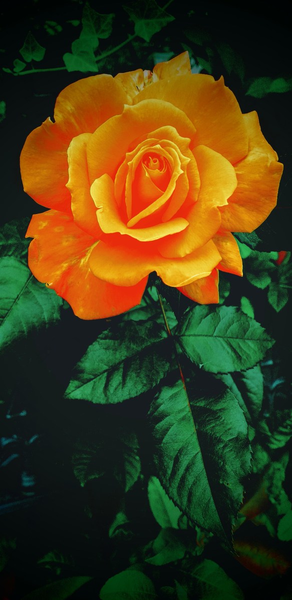 penance poem – resarf poetry