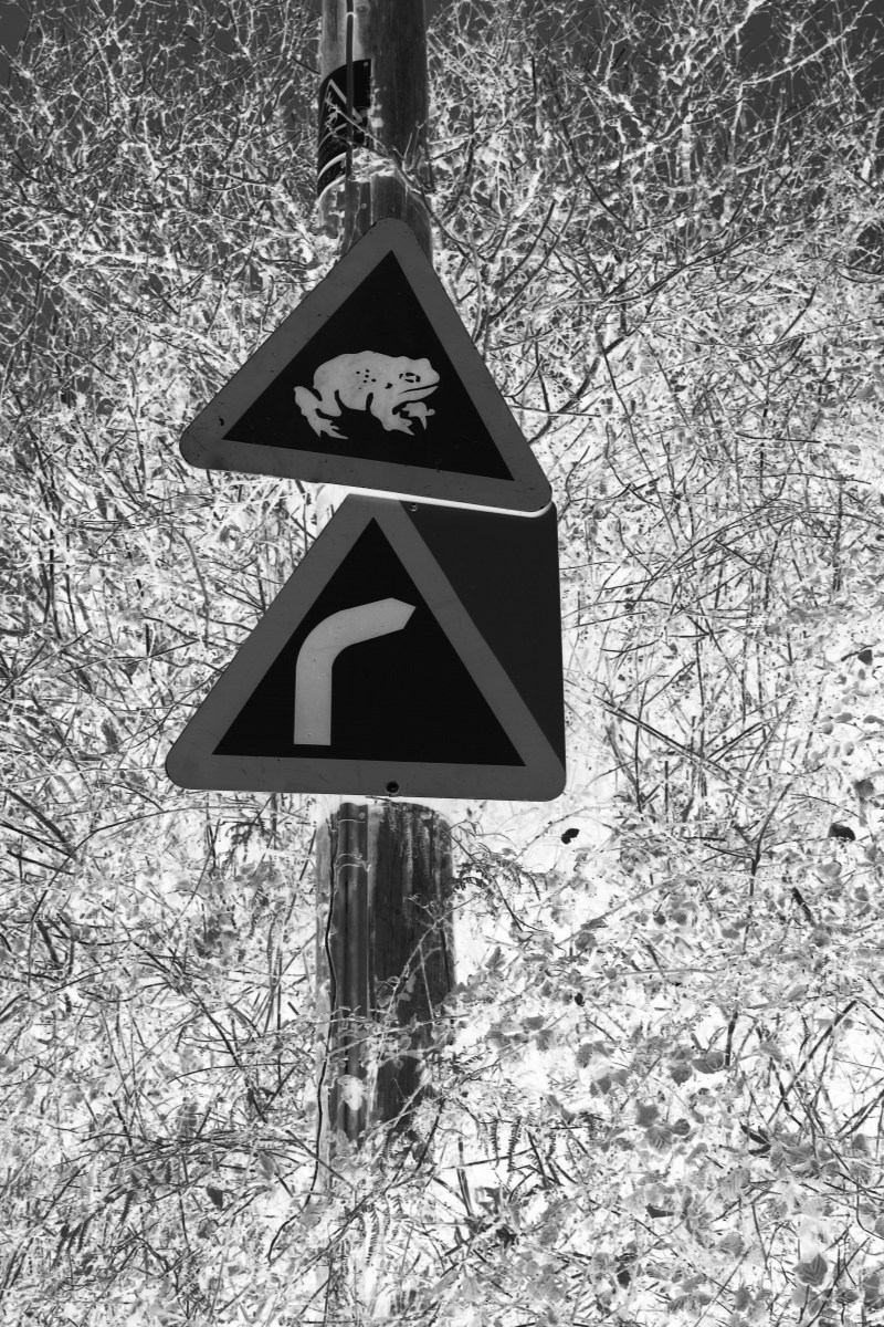 doe ray me poem – resarf poetry