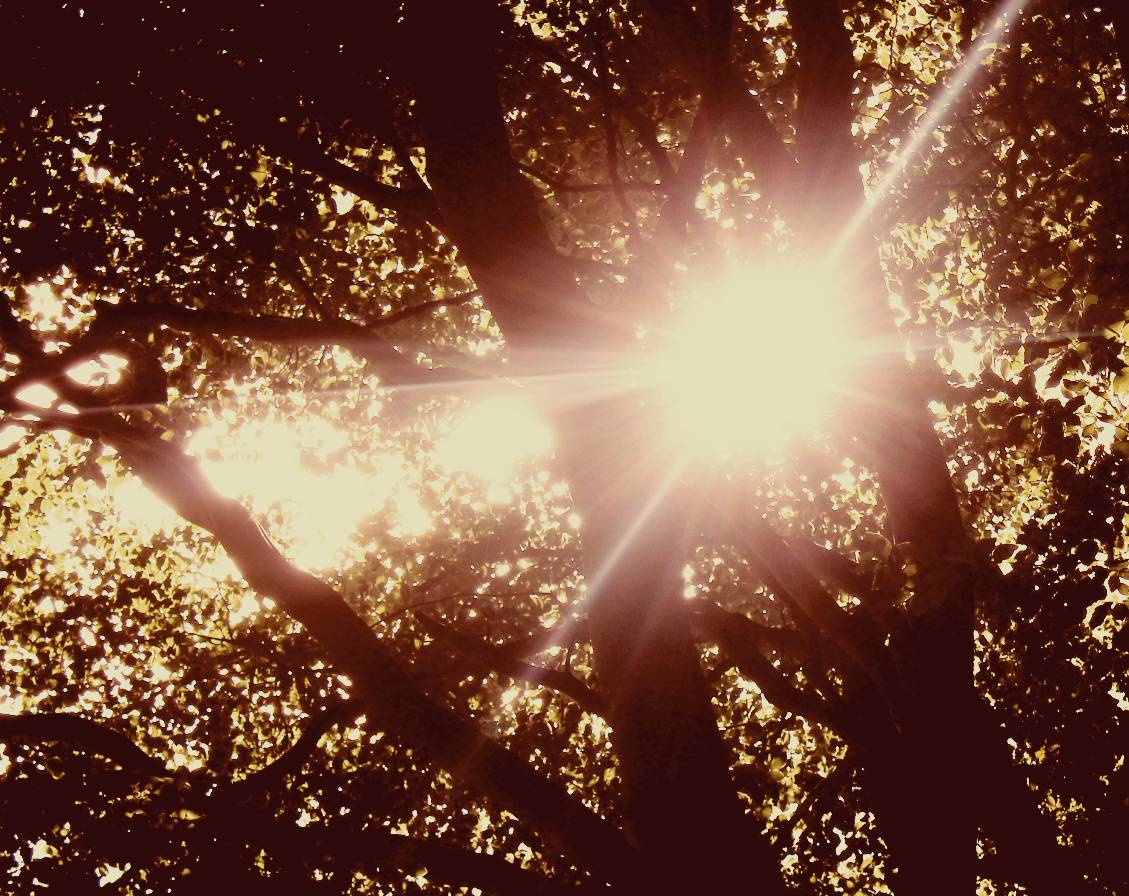 ( autumn isn’t spring ) – resarf poetry